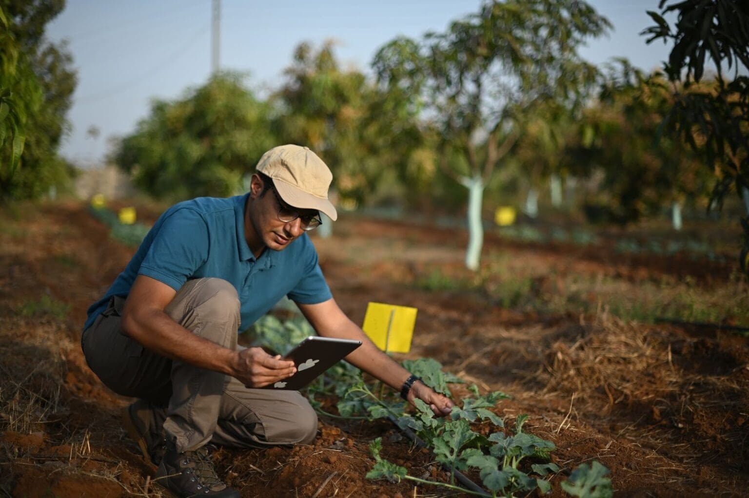 The Rise of Regenerative Organic Certification (ROC) - Doudl